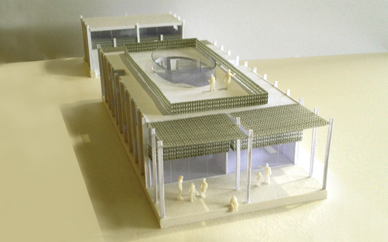 orewa-house-crosson-architects2 – Crosson Architects